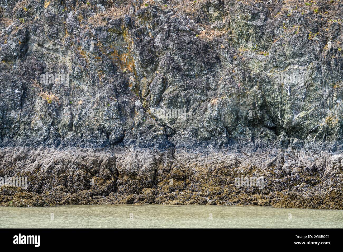 Rock cliff at low tide, algae and lichen, as a nature background Stock ...