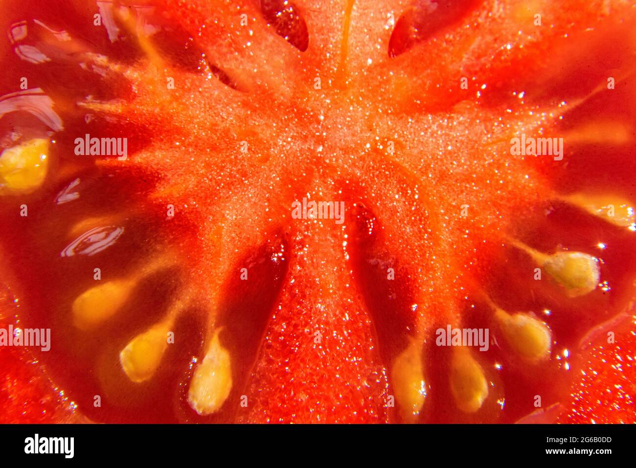 macro photo of fresh red cut tomato texture Stock Photo - Alamy