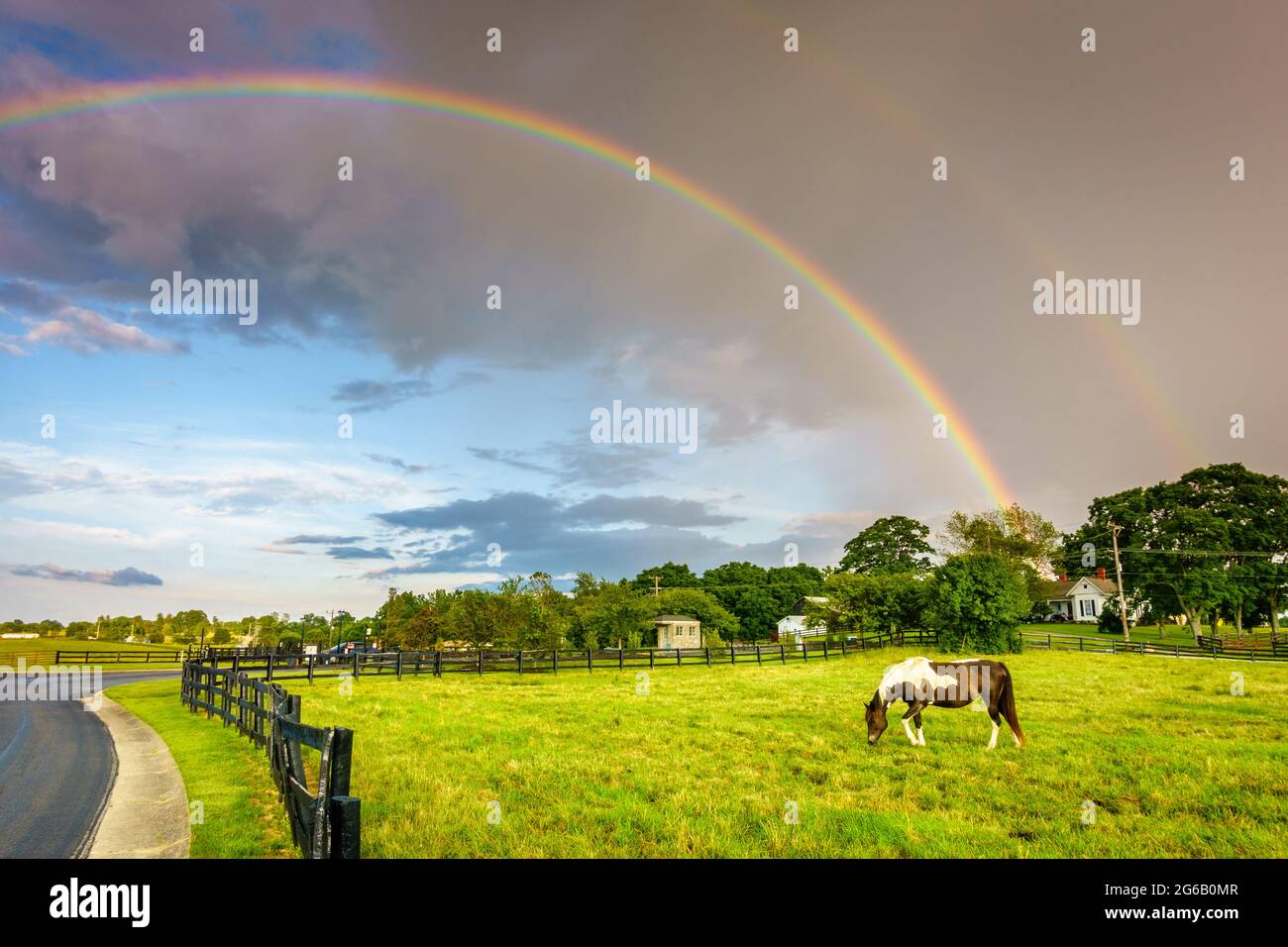 Rainbow horse hi-res stock photography and images - Alamy