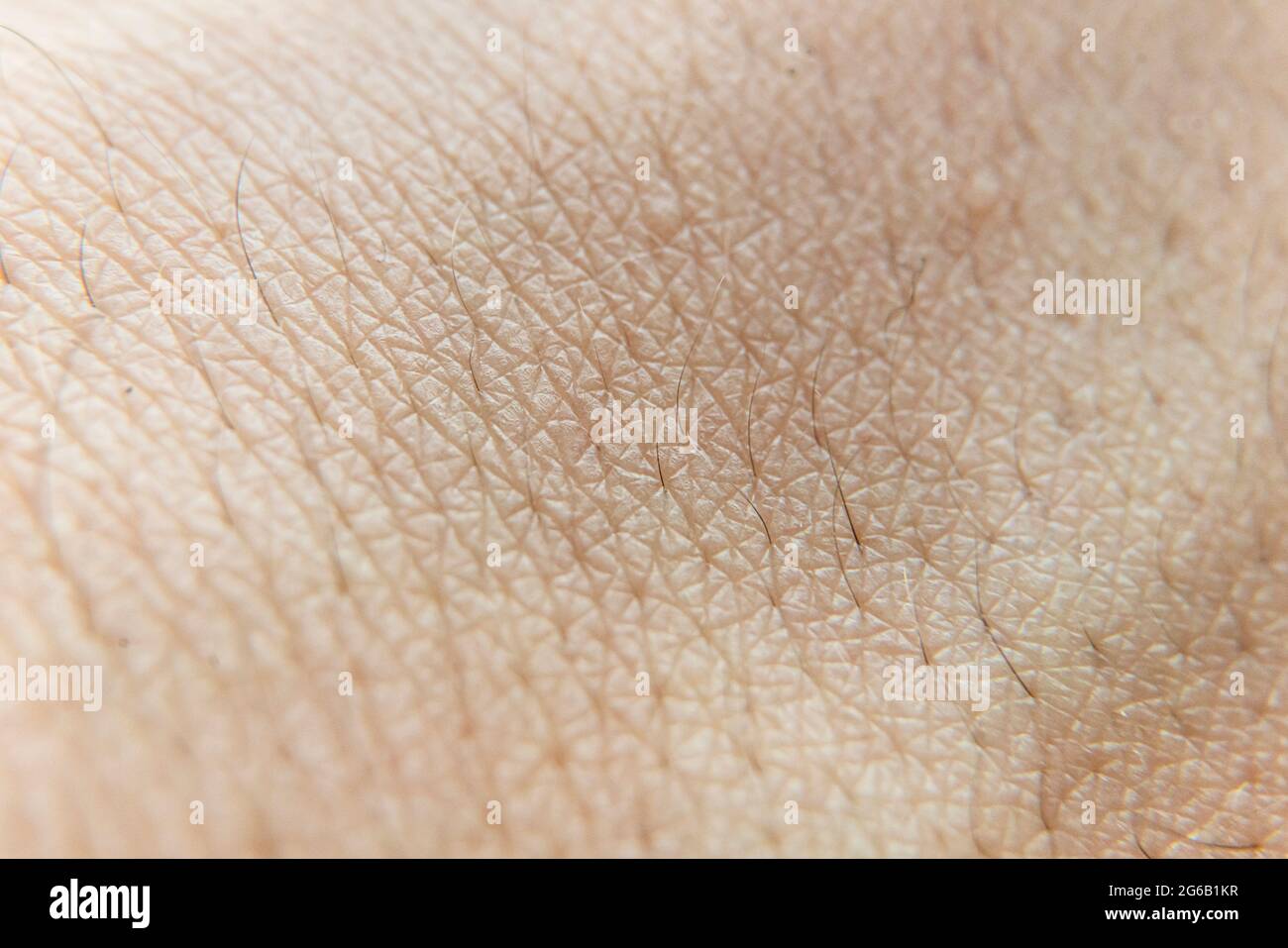 macro photo of a human skin texture Stock Photo - Alamy