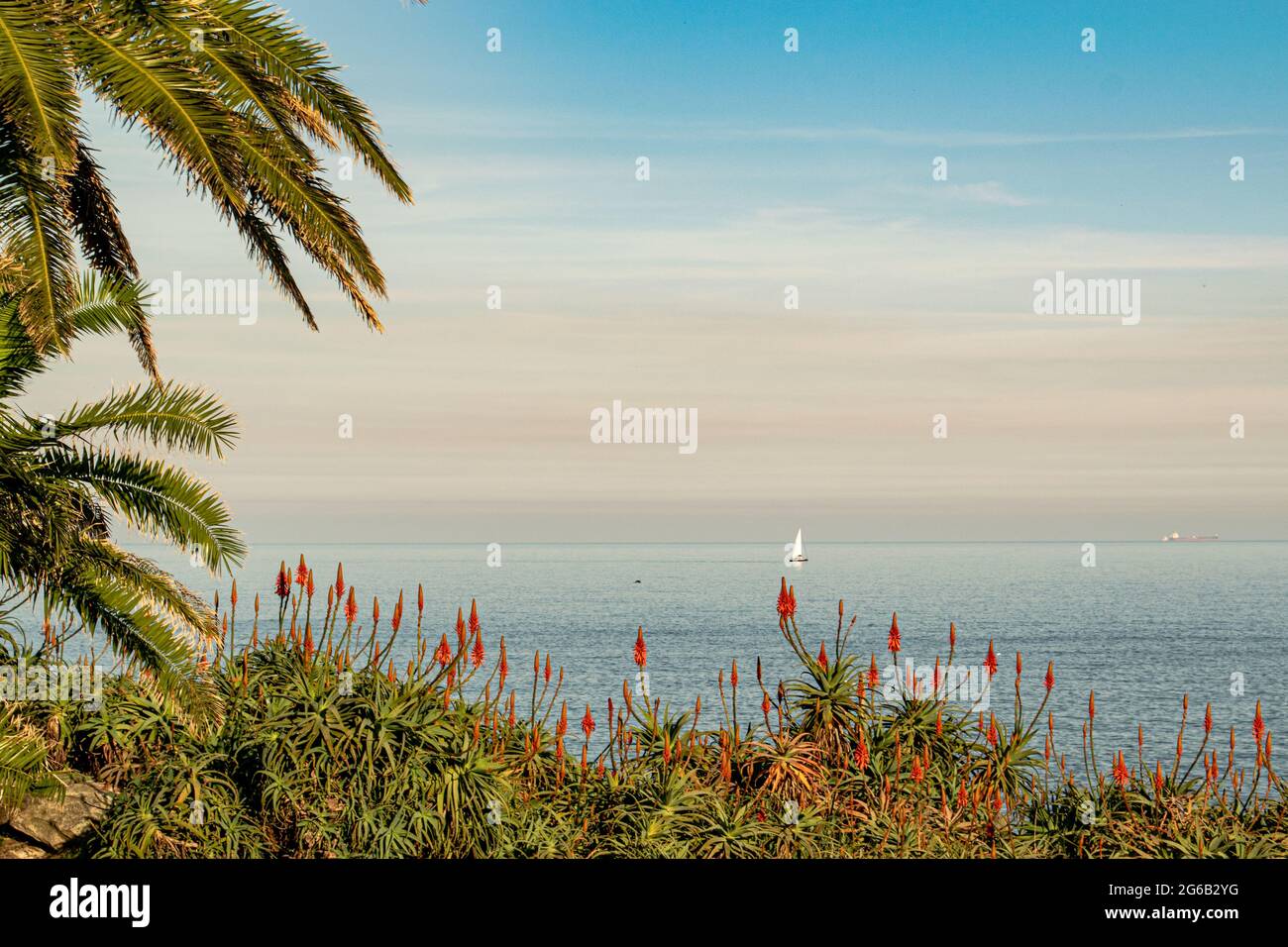 Natural wallpaper of the sea in Montevideo Stock Photo - Alamy