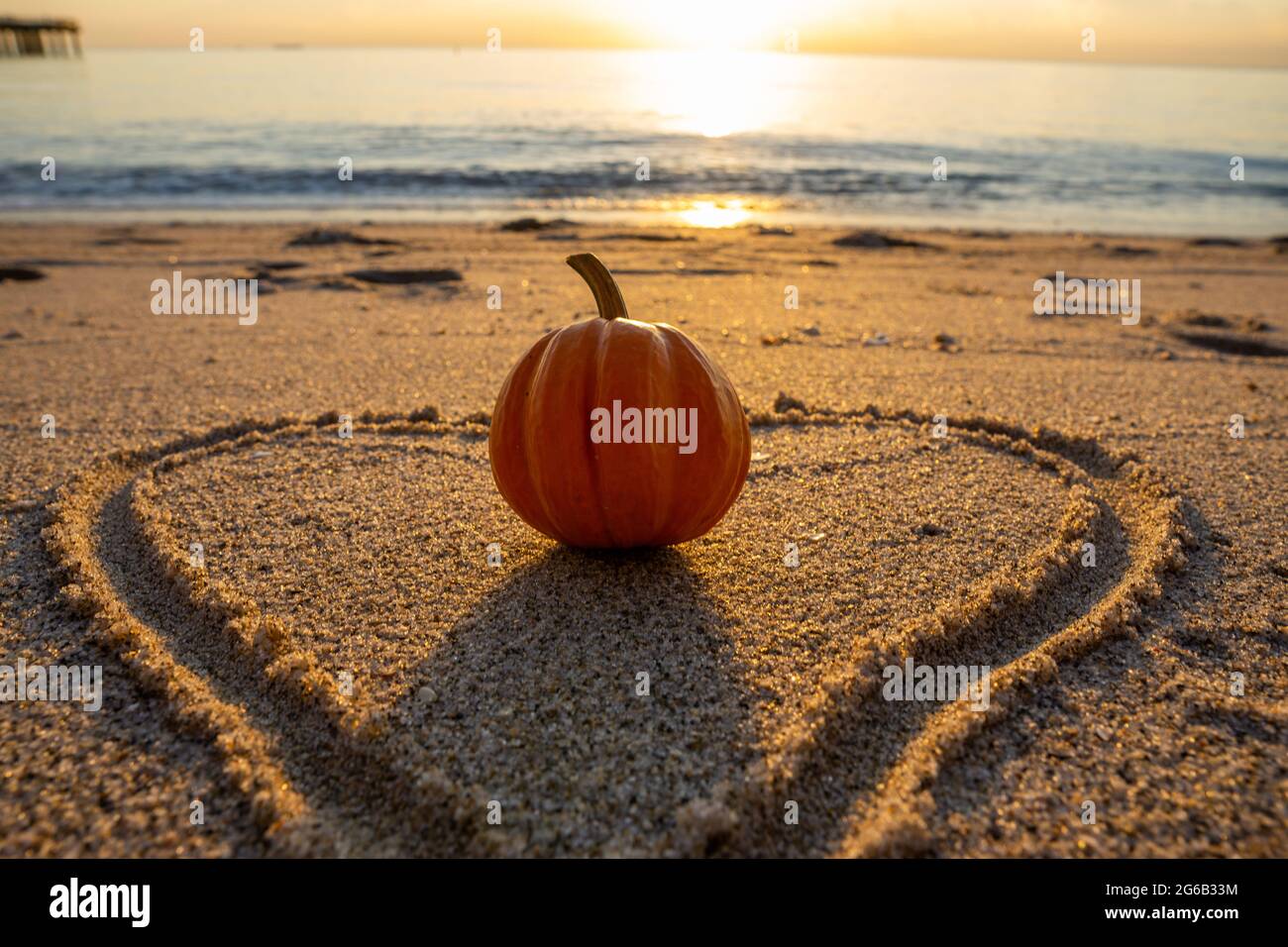 Pumpkin fruit vector pattern hi-res stock photography and images - Alamy