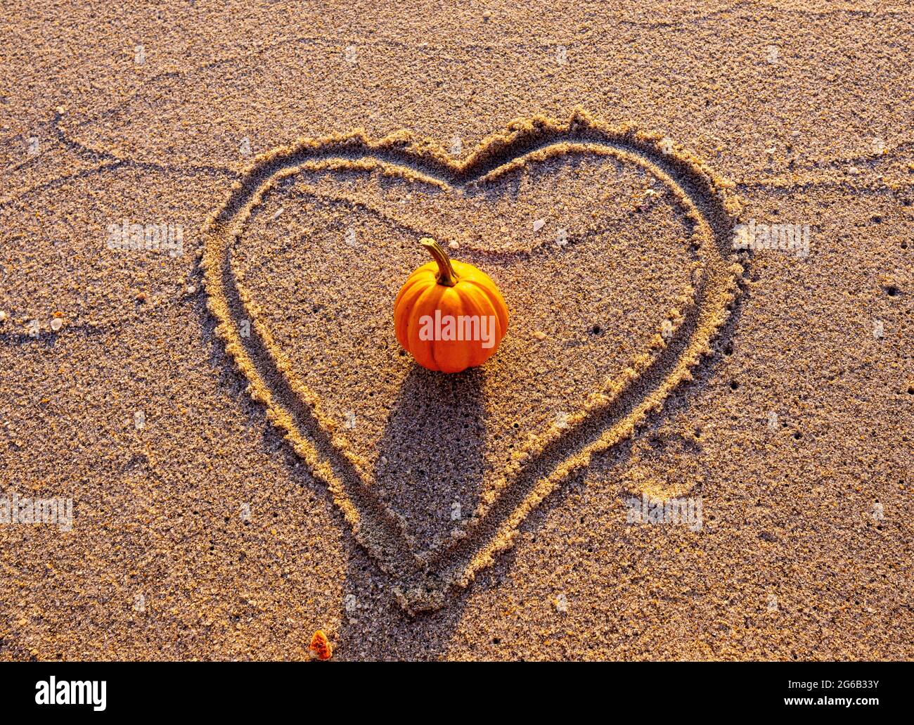 Pumpkin fruit vector pattern hi-res stock photography and images - Alamy