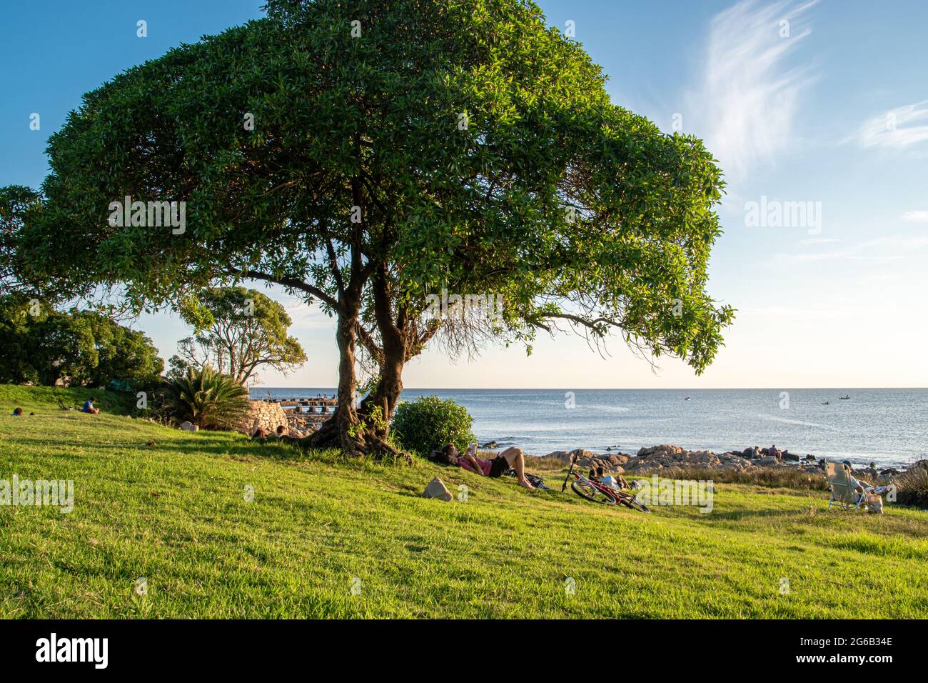 Boy reading blue book hi-res stock photography and images - Alamy