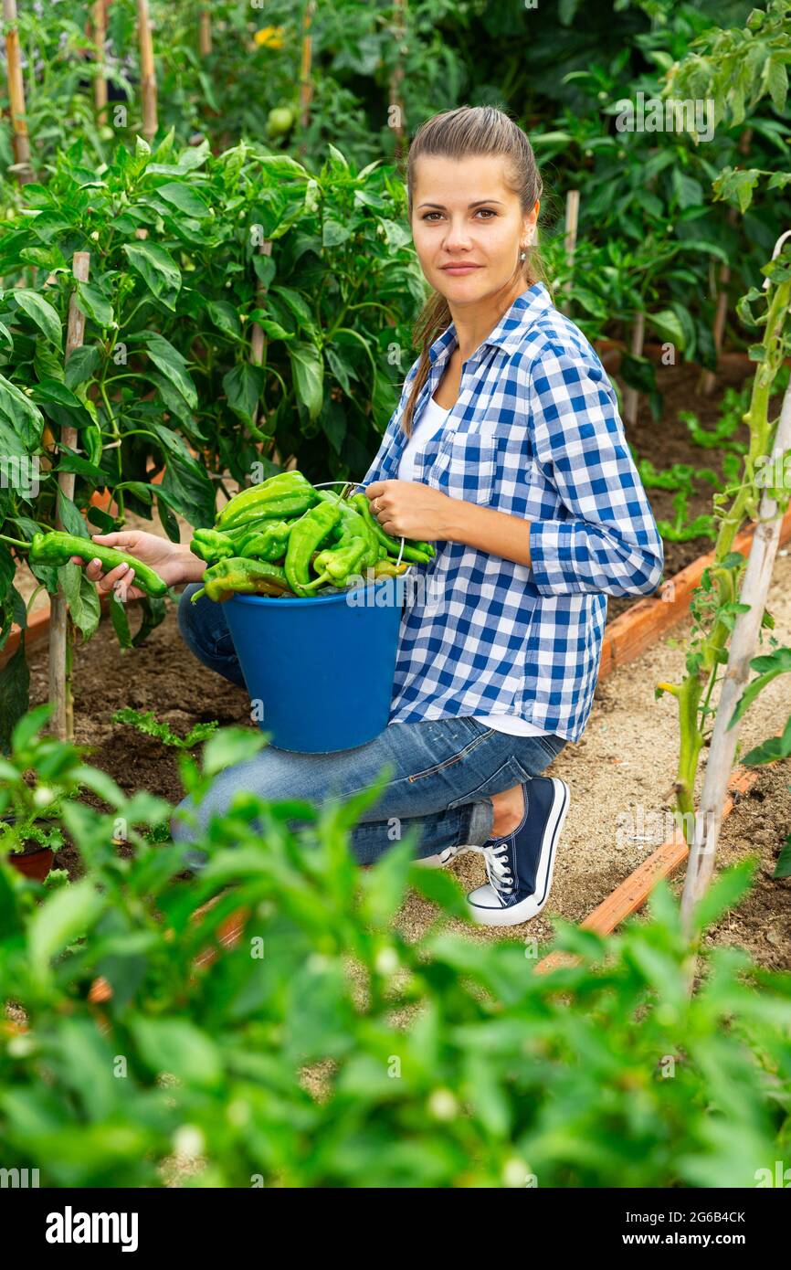 Bell satisfied hi-res stock photography and images - Alamy