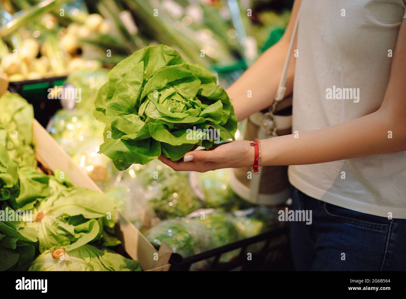 Customer is holding armful of green leaves of juicy fresh salad in ...