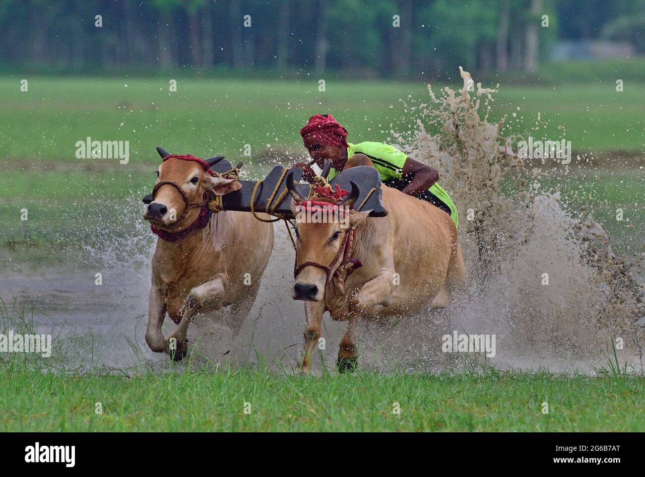 Moichara hi-res stock photography and images - Alamy