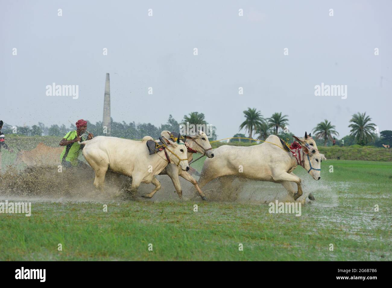 Moichara hi-res stock photography and images - Alamy