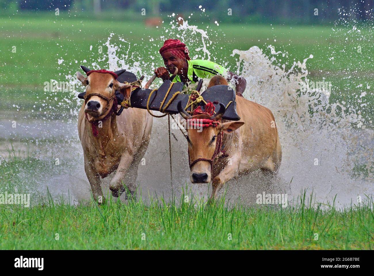 Moichara hi-res stock photography and images - Alamy