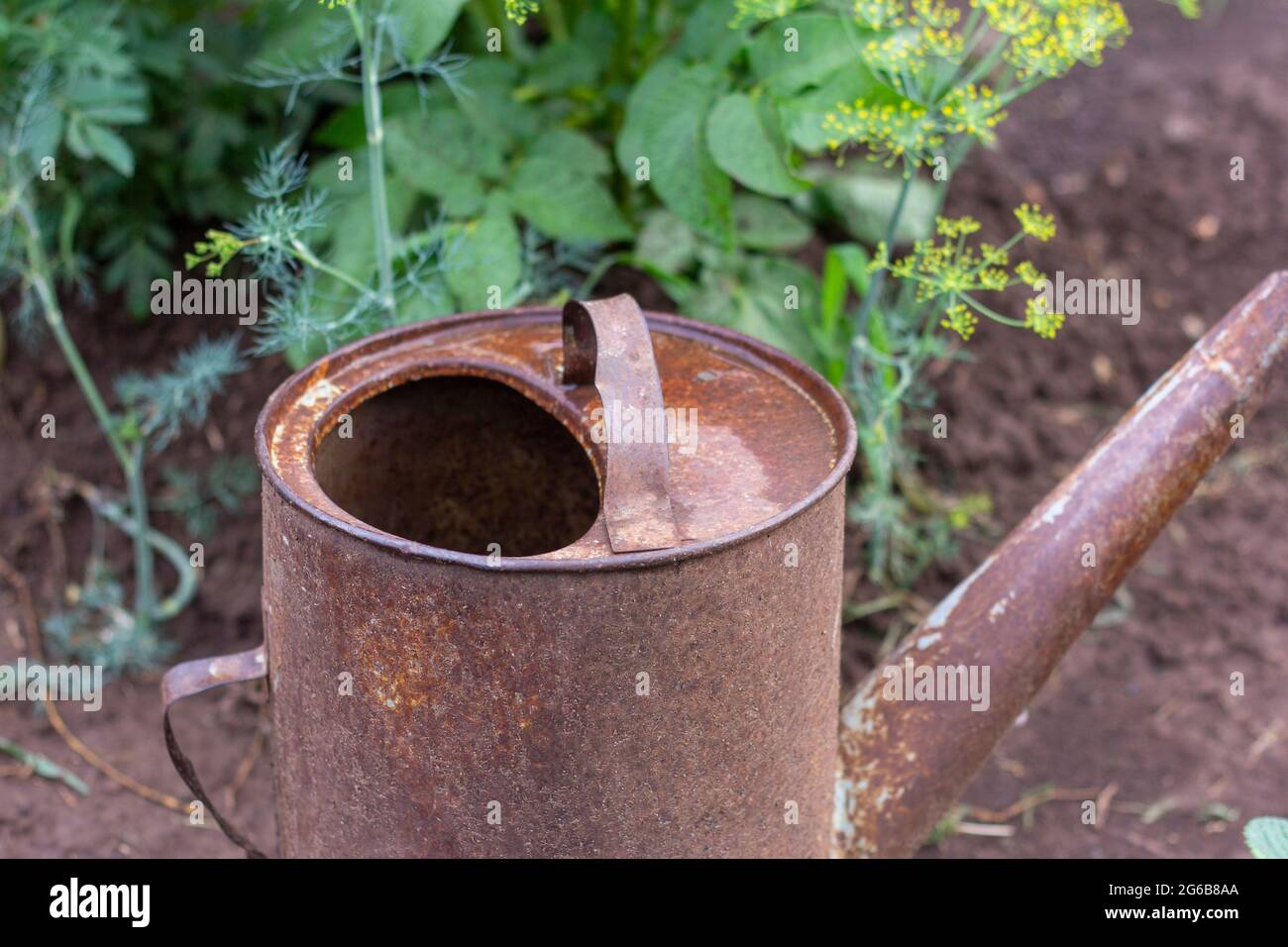 Heavy rusty gardening tool hi-res stock photography and images - Alamy