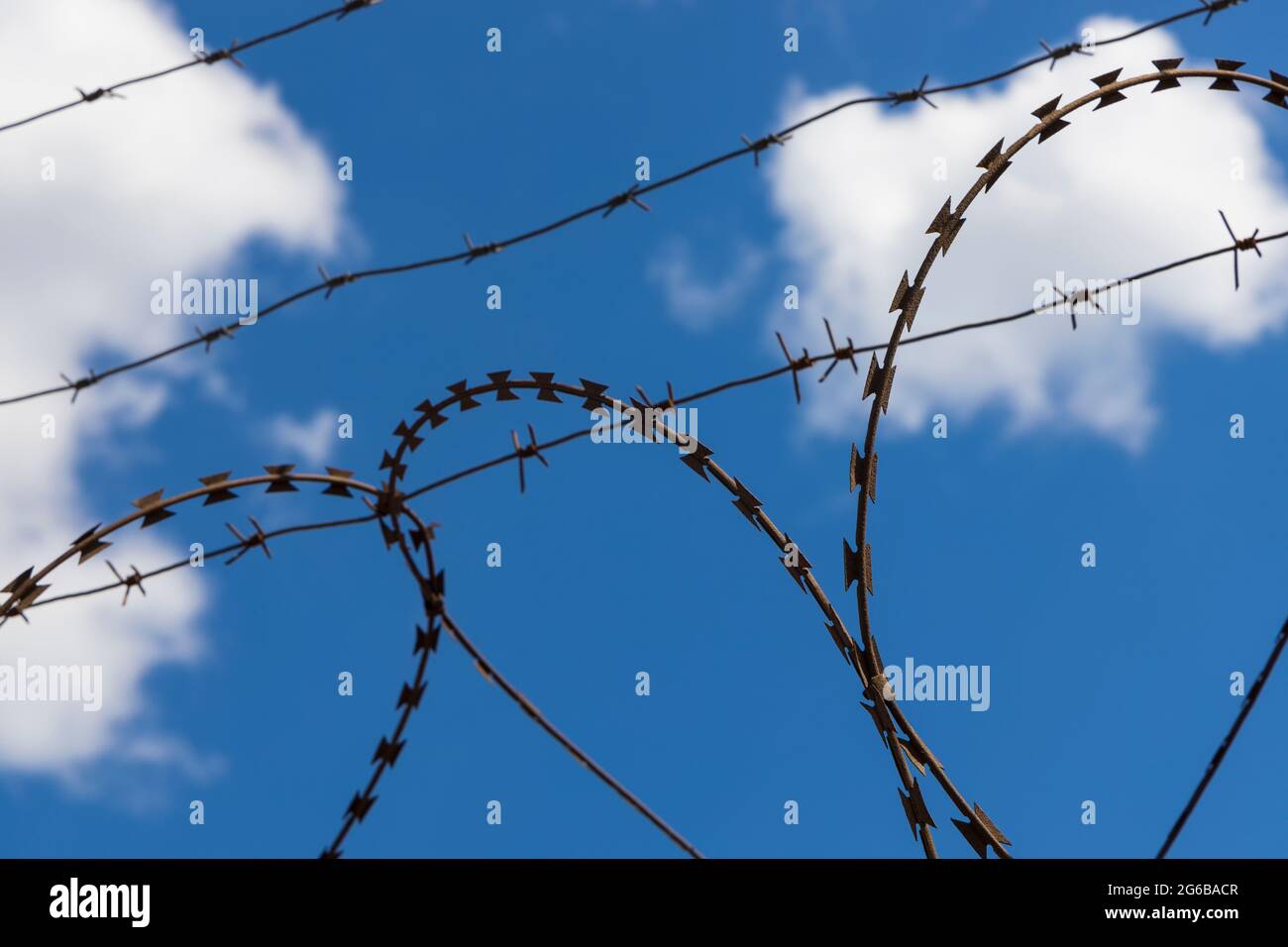 Curved razor wire is detailed against the background of the blue sky in ...
