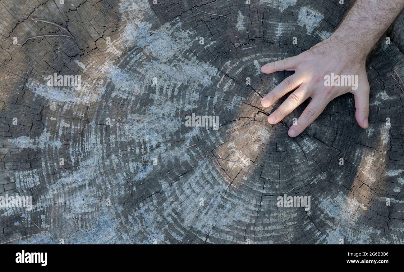 Touching rings hi-res stock photography and images - Alamy