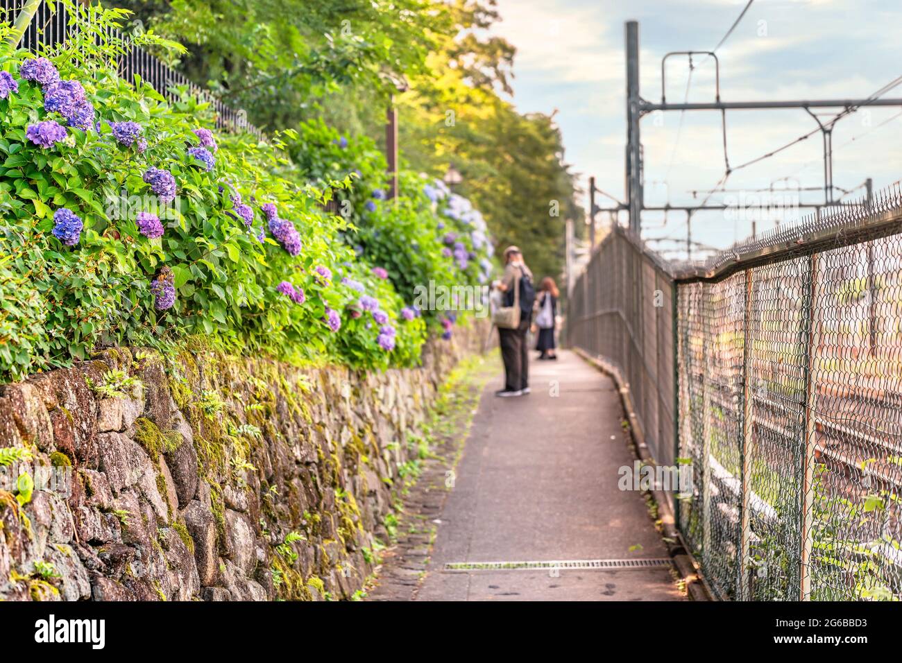 tokyo, japan - june 15 2021: Asuka-no-komichi road along the wire mesh ...