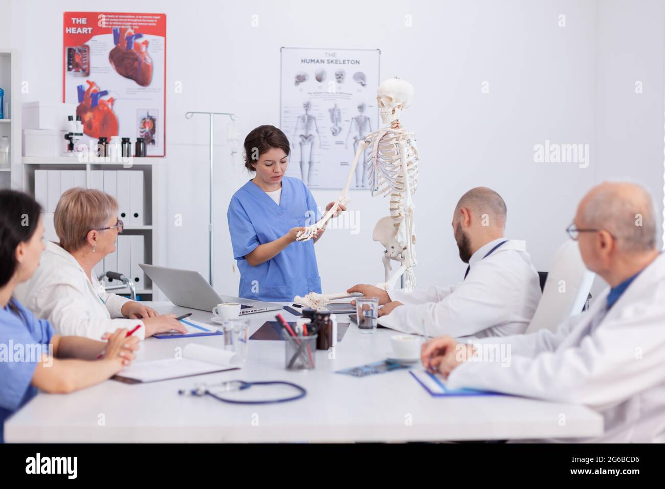 Hospital woman nurse presting bone structure using body anatomy ...