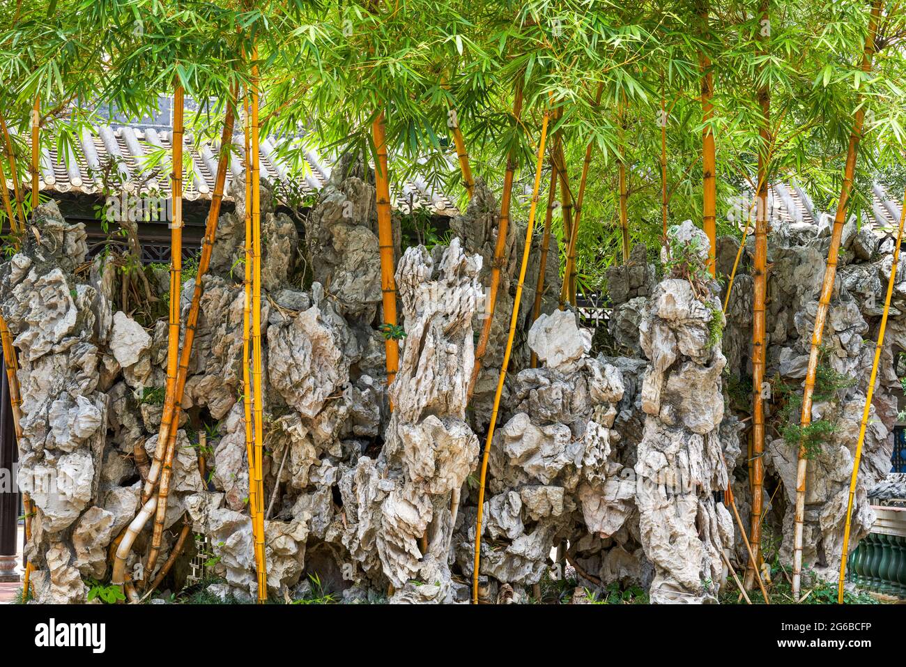 Rocky bamboo forest landscape in traditional Chinese garden, stone ...