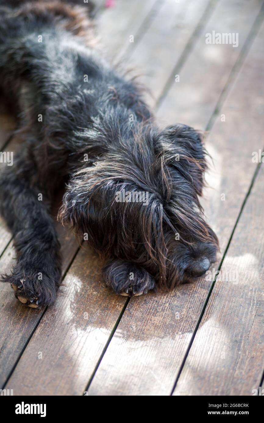Sleeping on a terrace hi-res stock photography and images - Alamy