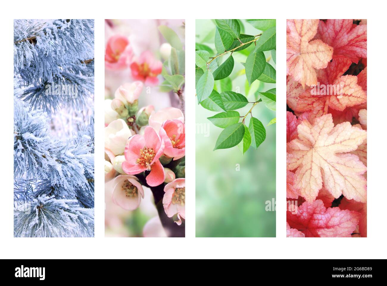 Four seasons of year. Set of vertical nature banners with winter ...