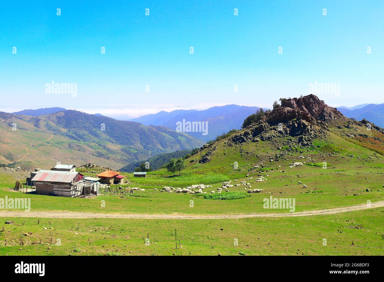 A flock of sheep in a high mountain pasture in the mountains system ...