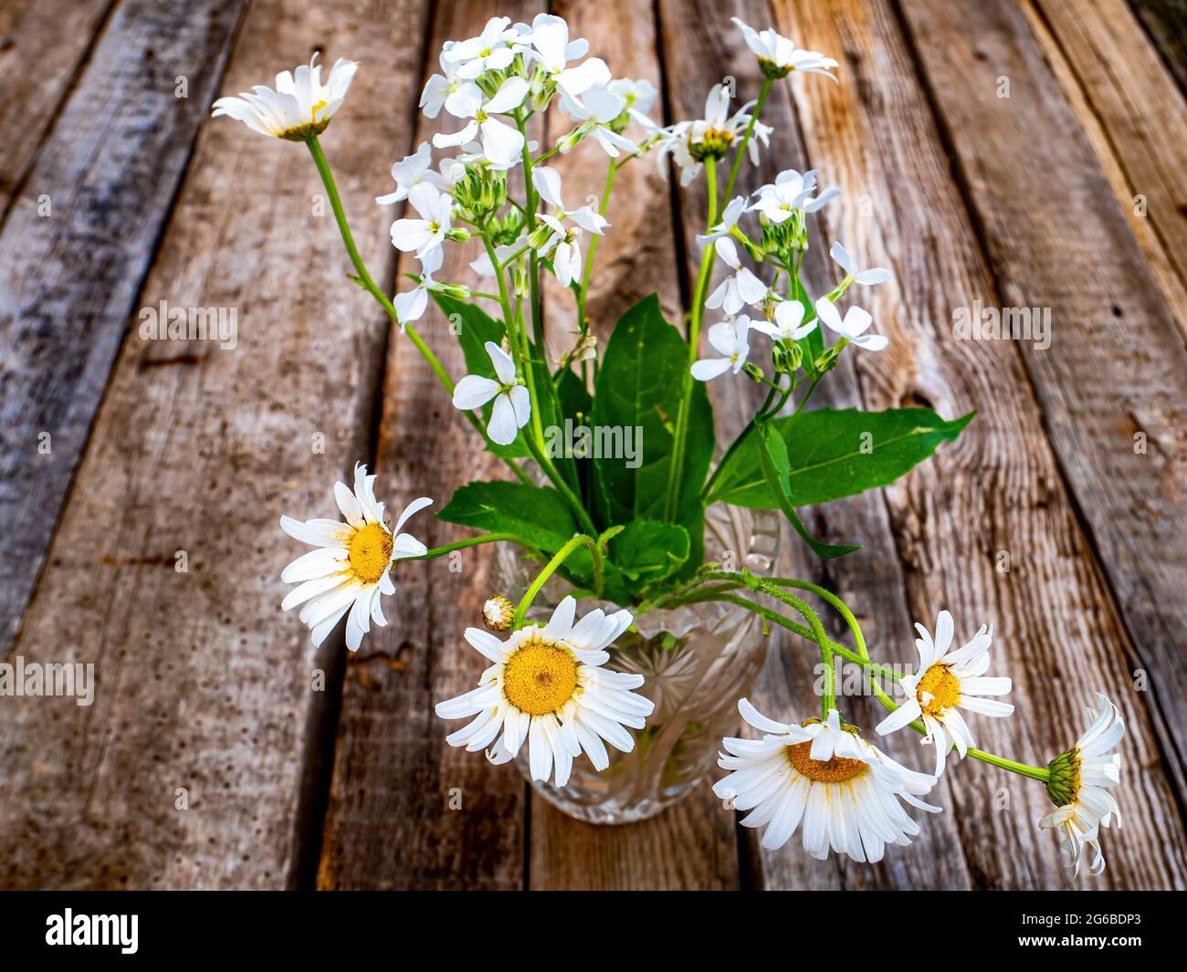 Bouquet of white daisies flowers in a glass vase on a wooden table ...