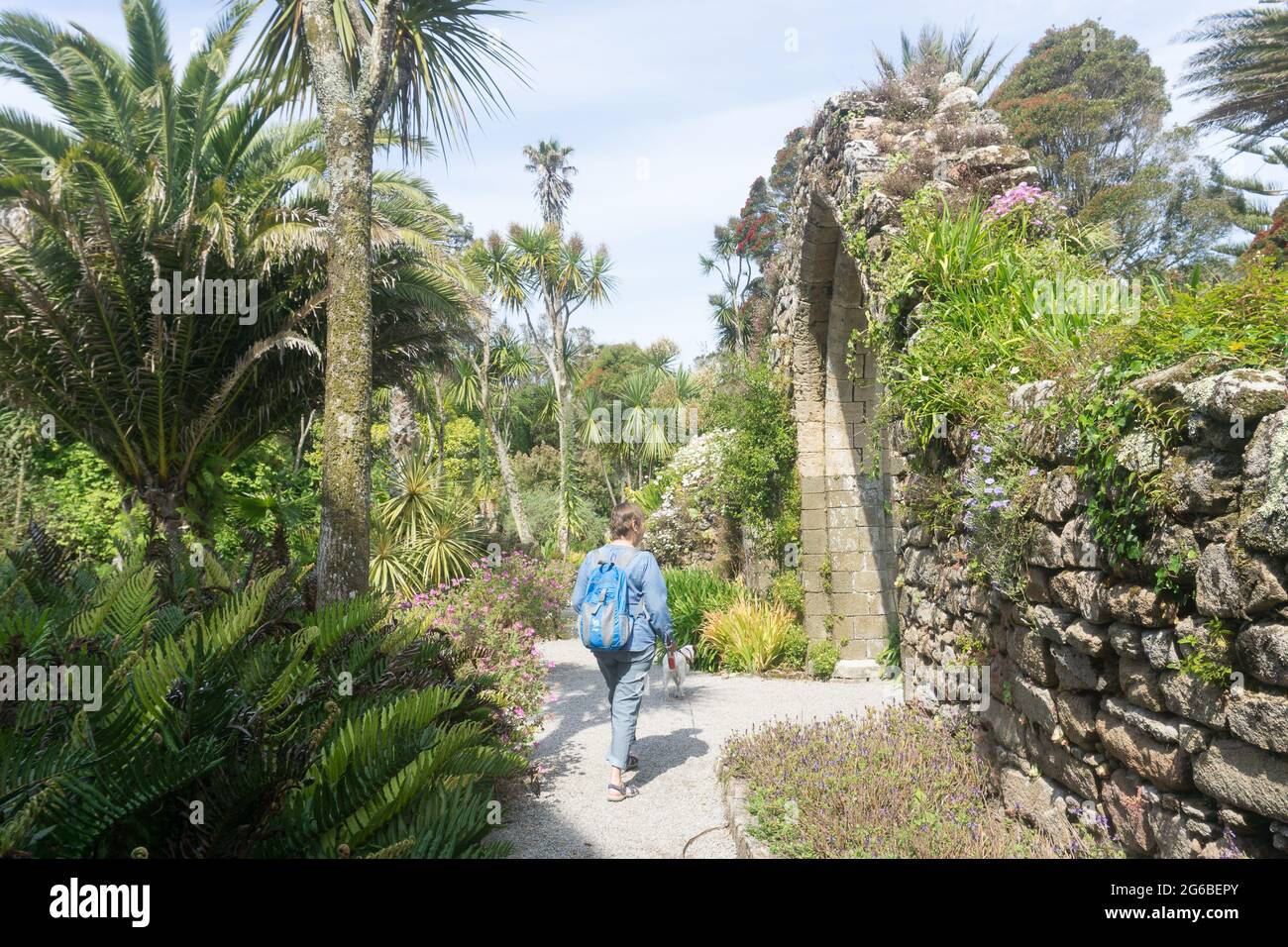 Abbey gardens tresco hi-res stock photography and images - Alamy