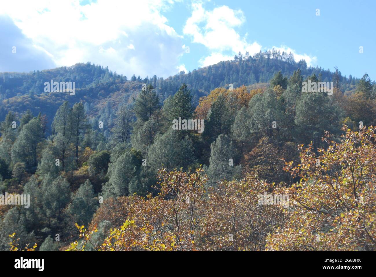 Foothills ecosystem hi-res stock photography and images - Alamy
