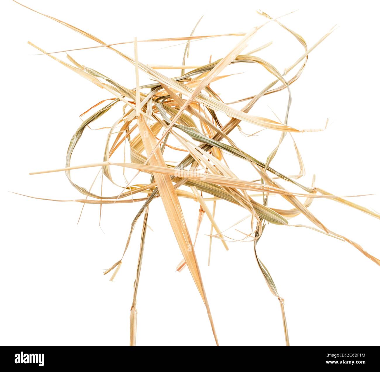 Hay isolated on white background Stock Photo - Alamy