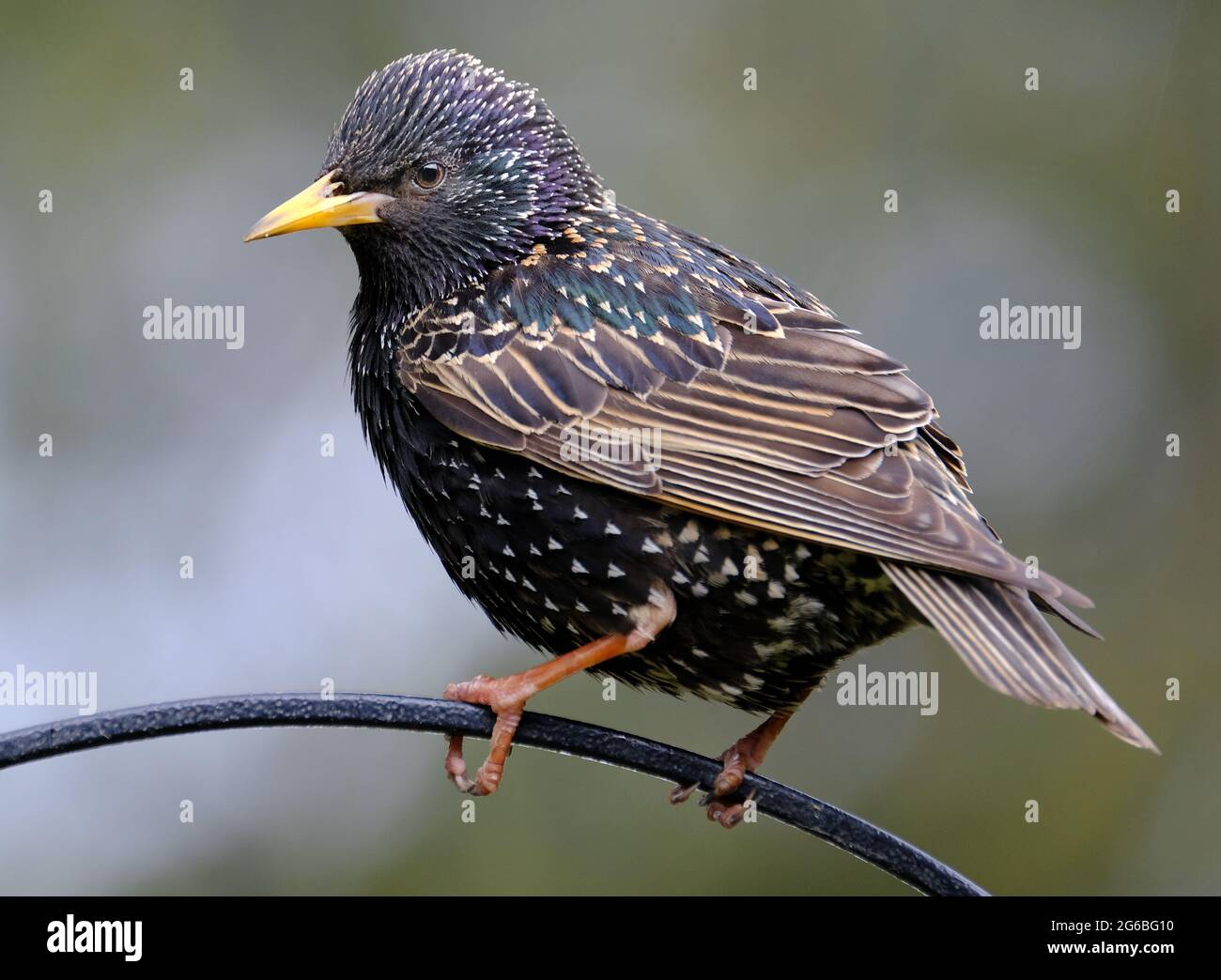 Group size hi-res stock photography and images - Alamy