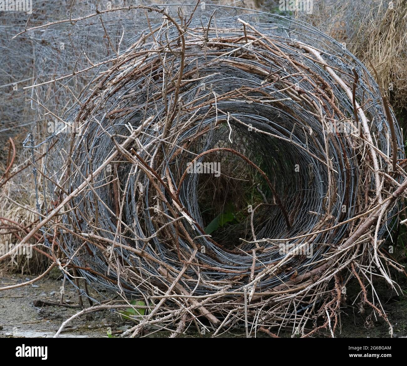Old Fencing in a coil Stock Photo - Alamy