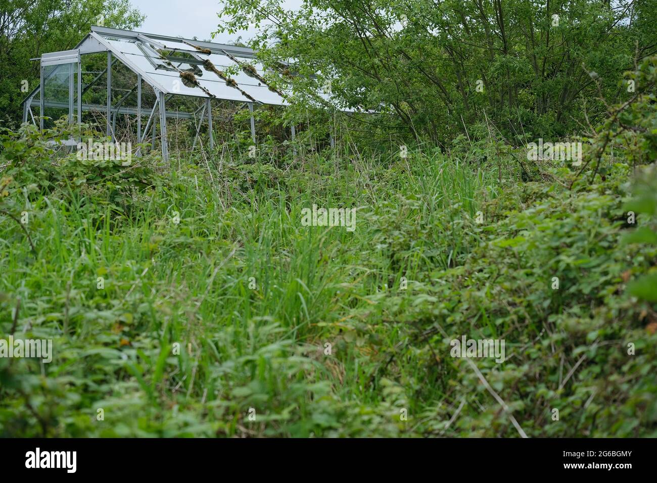 Old greenhouse hi-res stock photography and images - Alamy