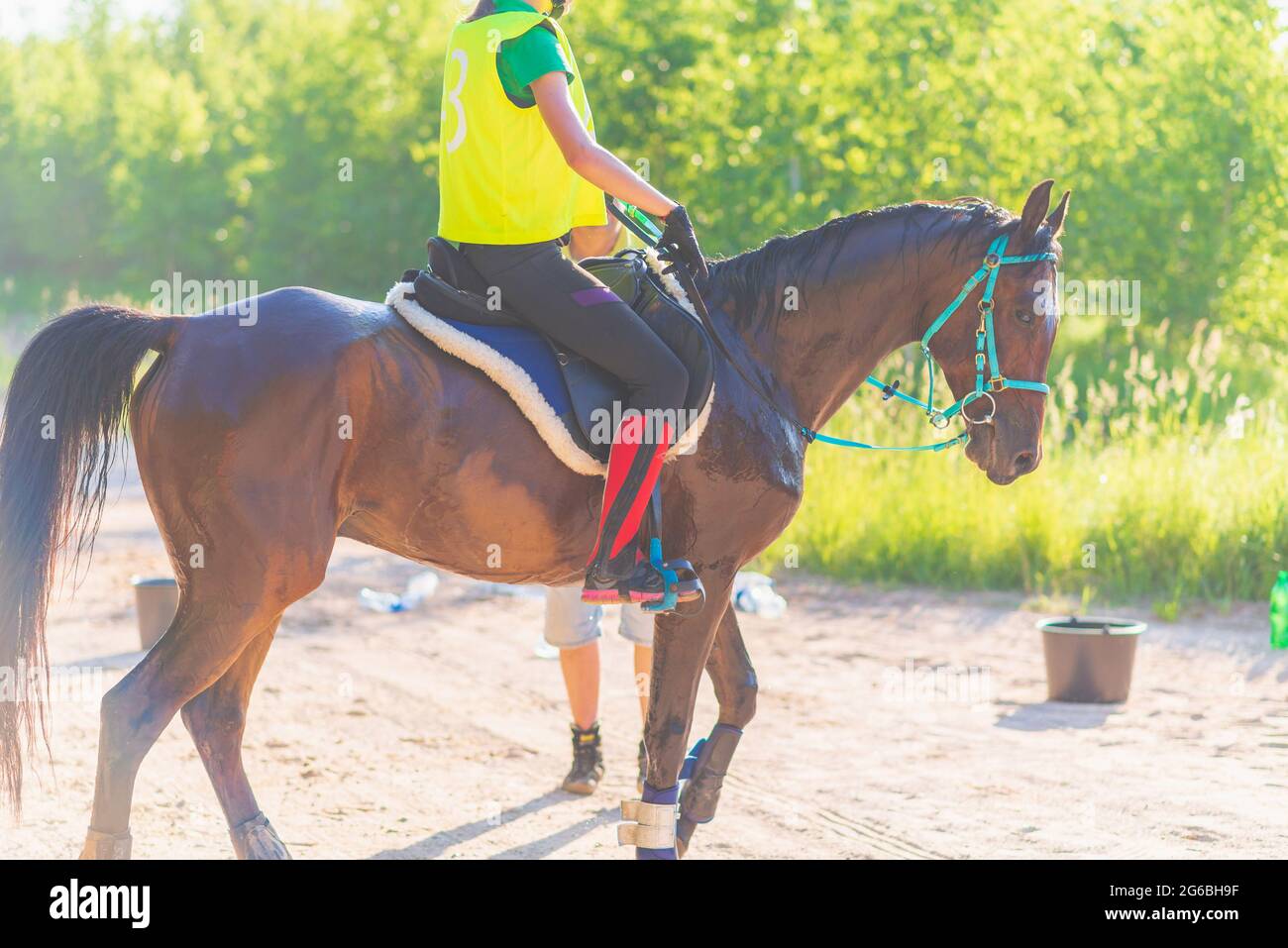 Competitor rival girl riding horse in summer field meadow.Young rider ...