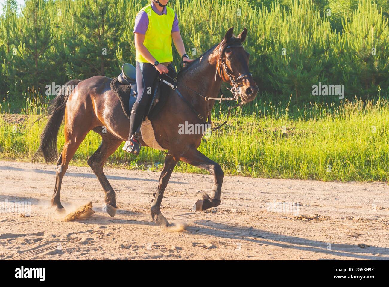 Competitor rival girl riding horse in summer field meadow.Young rider ...
