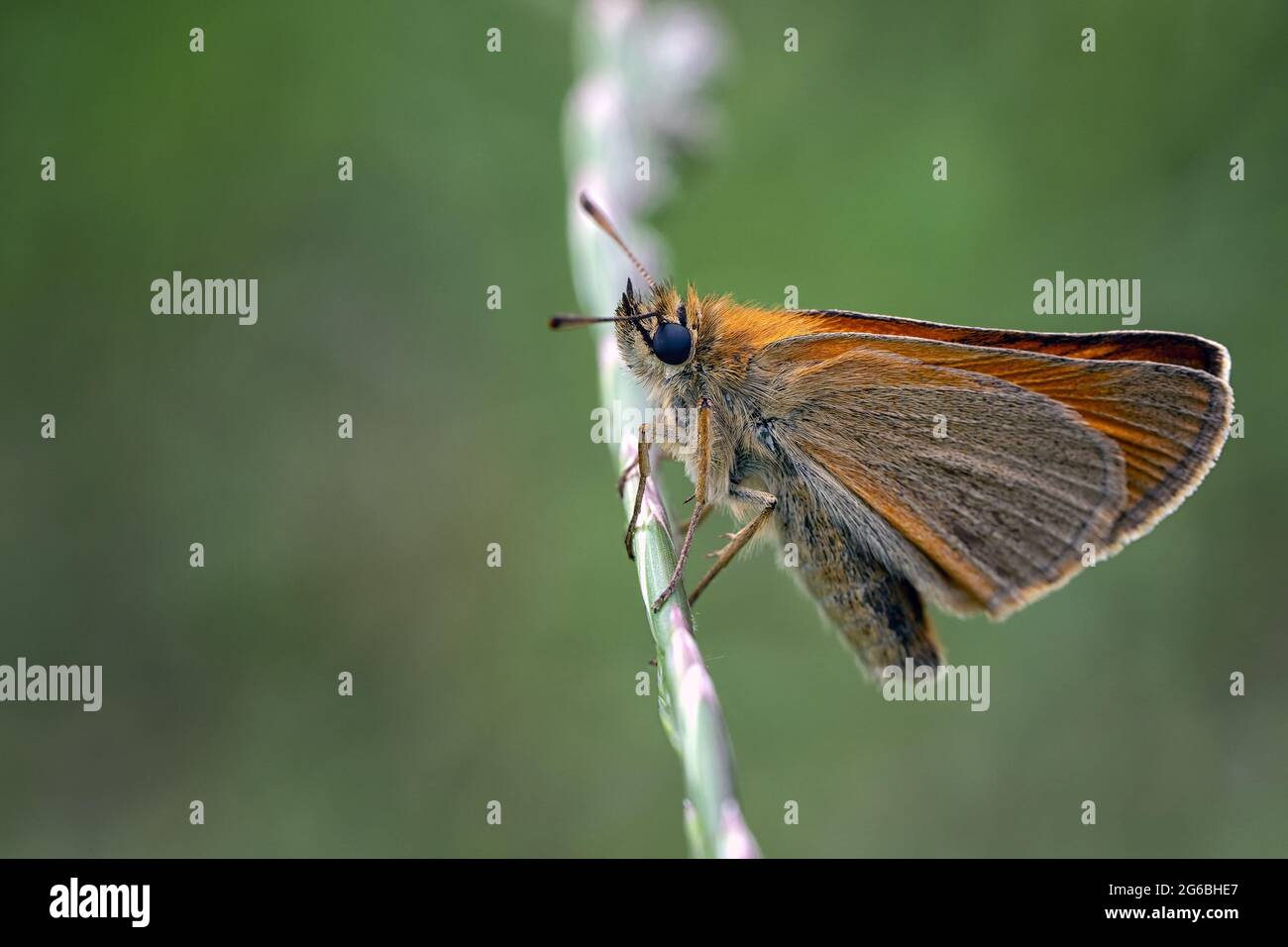 Skipper antenna hi-res stock photography and images - Alamy