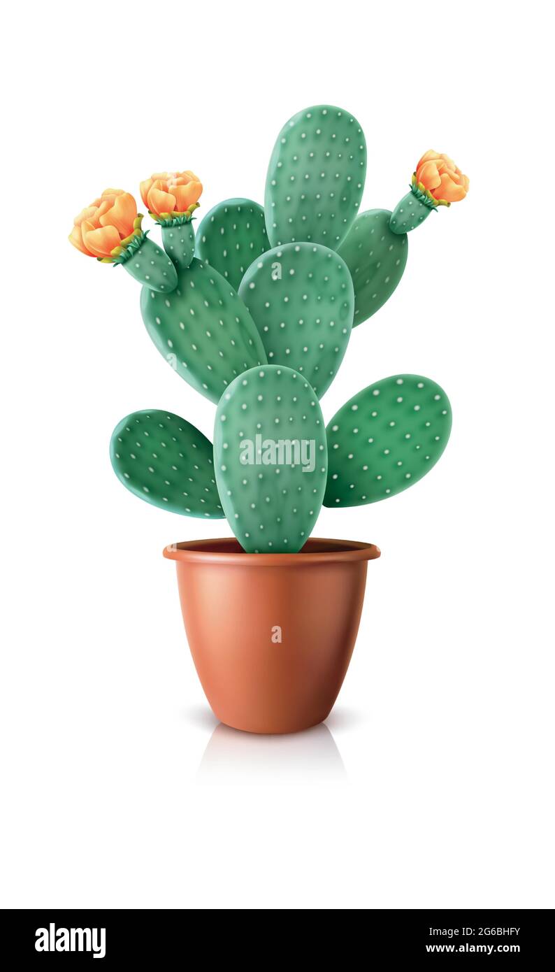 Small green plant in white Stock Vector Images - Alamy