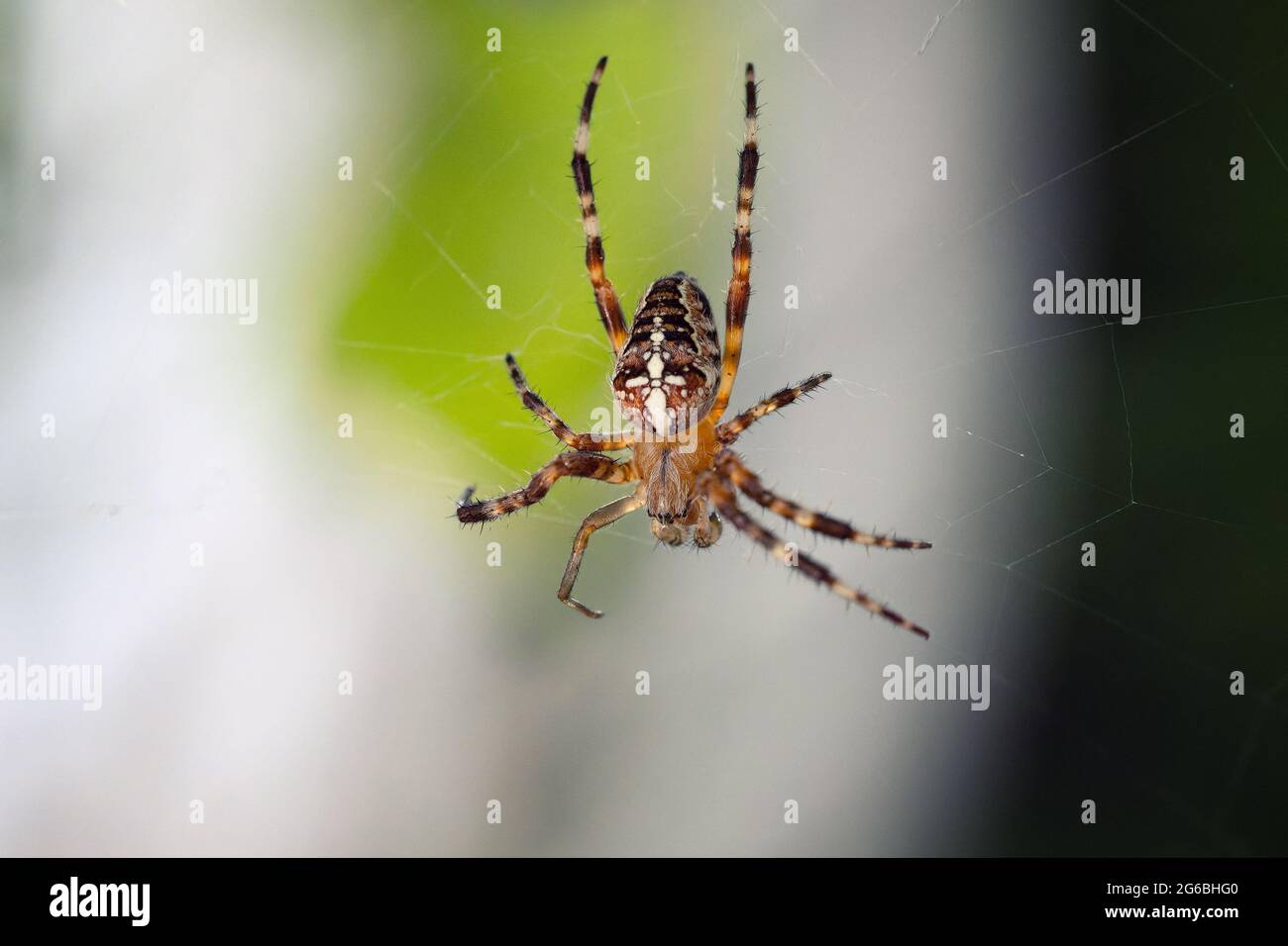 Creates danger hi-res stock photography and images - Alamy