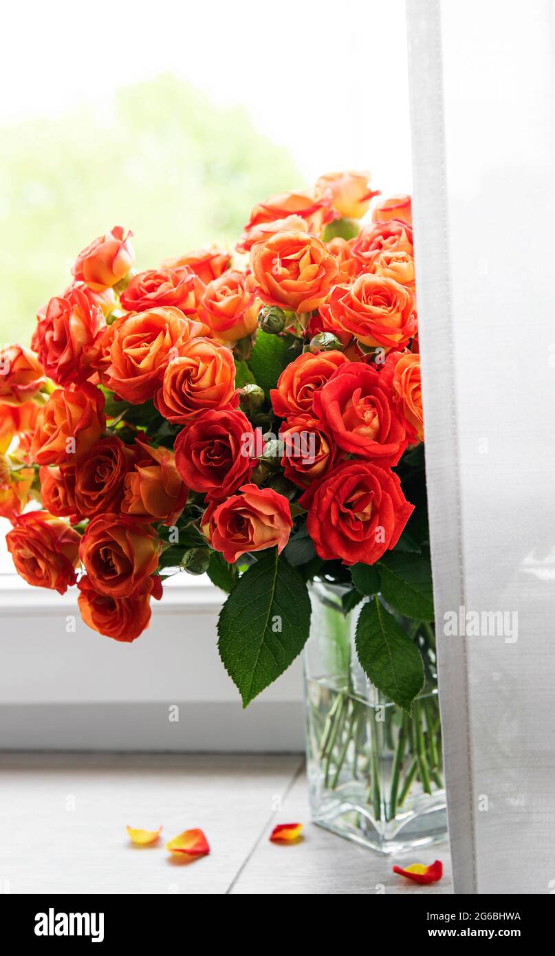 Red roses in a glass vase on the window sill Stock Photo - Alamy