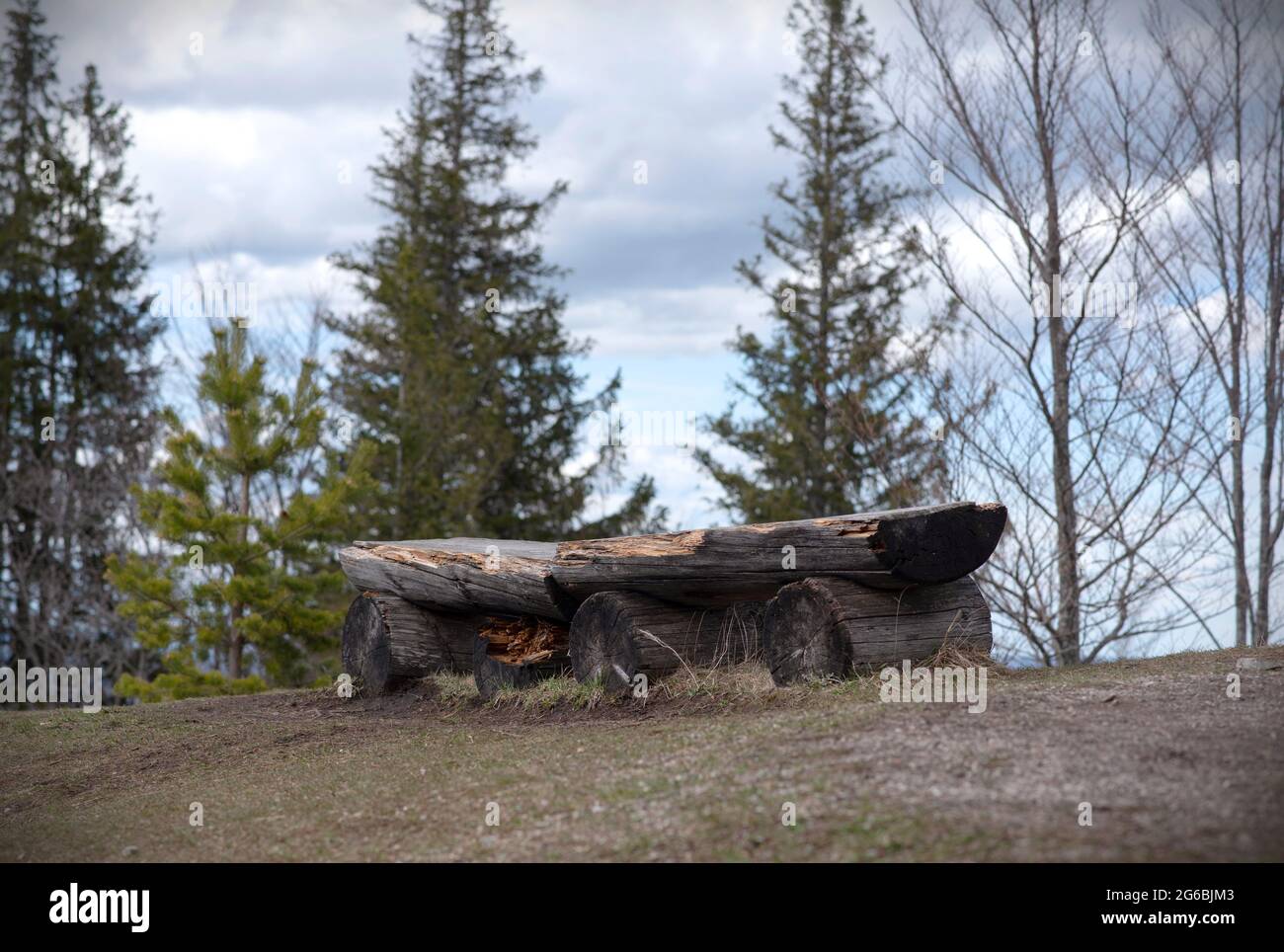 Old wooden chair from tree stem. Old timber wooden chair on the hill ...