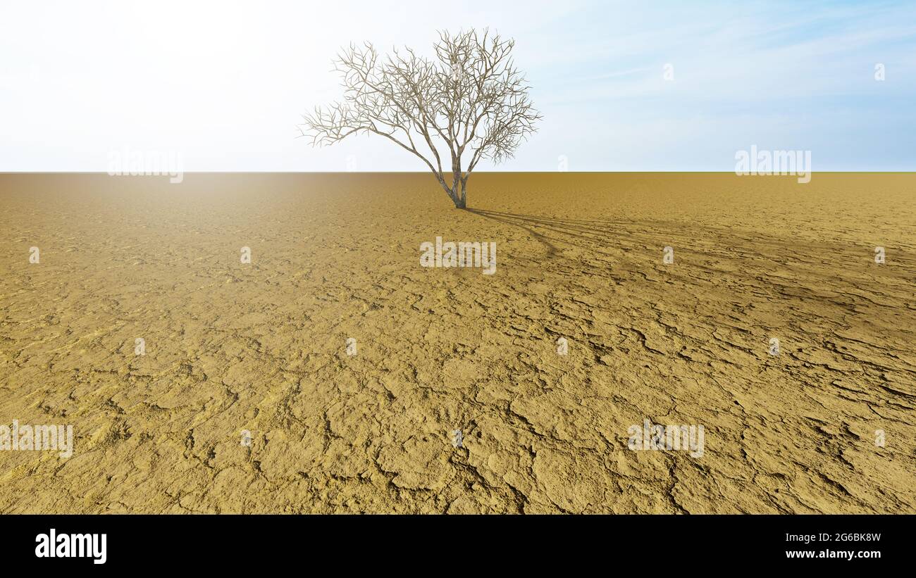 Concept or conceptual desert landscape with a parched tree as a ...