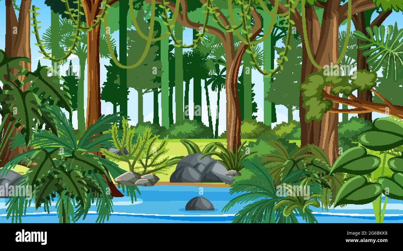 Forest landscape scene at day time with many different trees ...