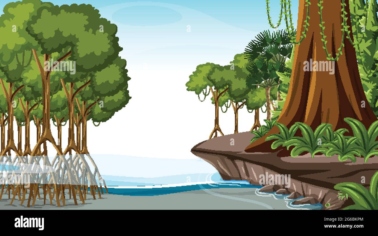 Mangrove Cartoon
