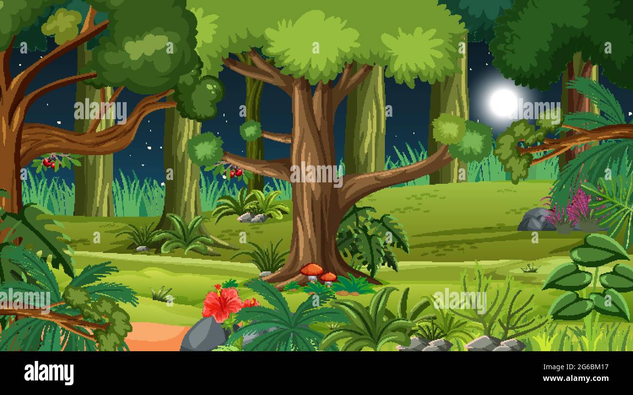 Forest at night landscape scene illustration Stock Vector Image & Art ...