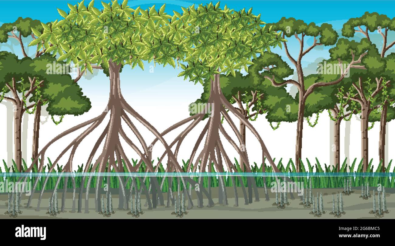 Nature scene with Mangrove forest at daytime in cartoon style ...