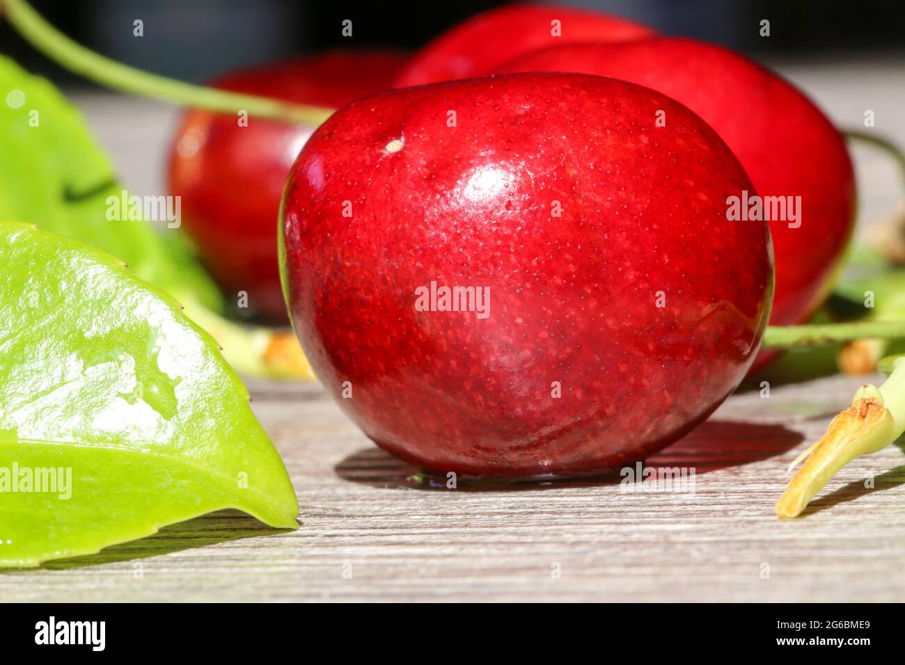 Close up of delicious sweet cherries Stock Photo - Alamy