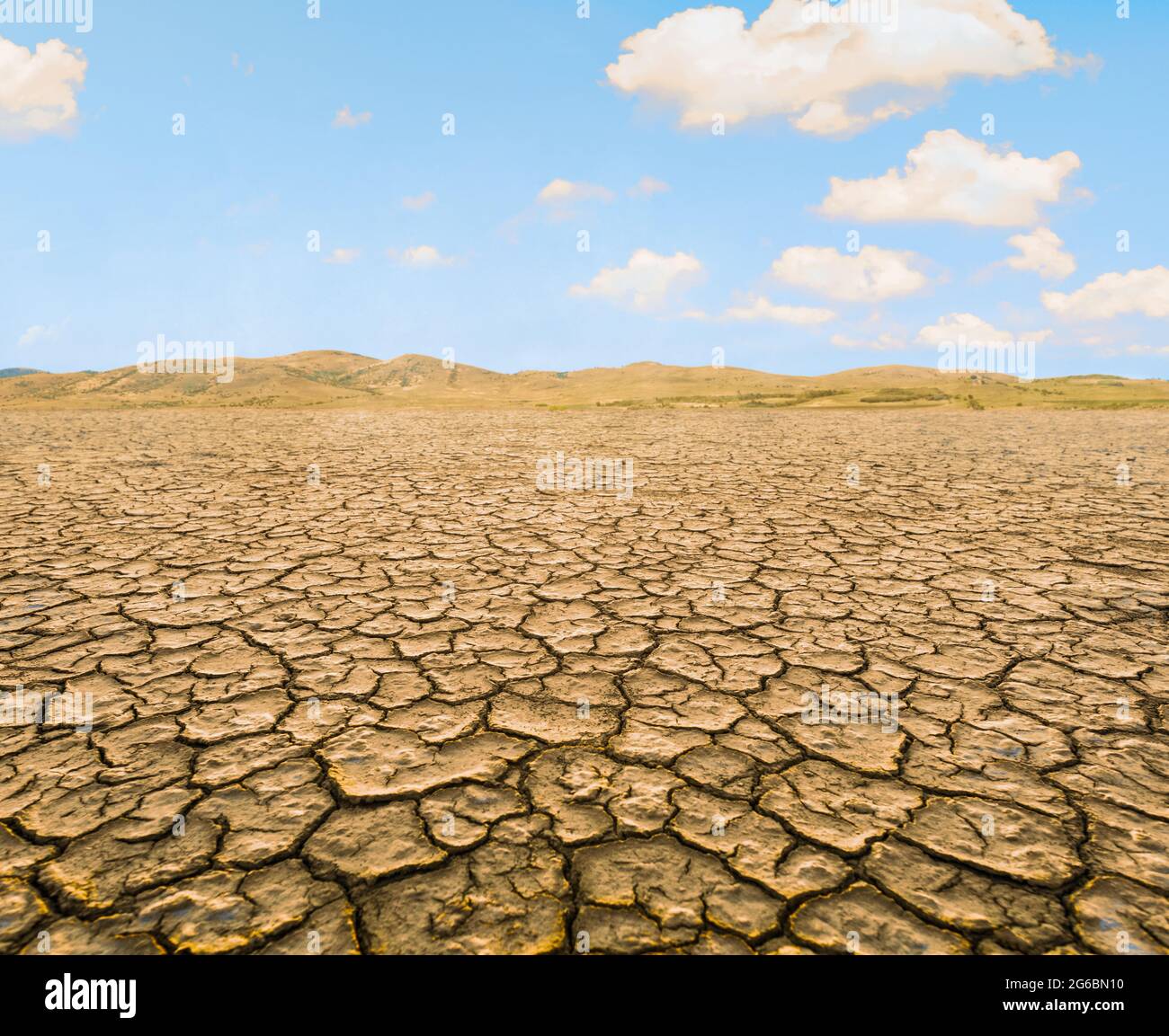 Cracked Desert Landscape