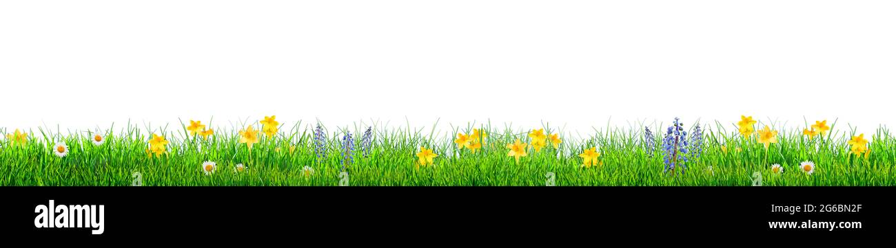 grass and spring flowers background Stock Photo - Alamy