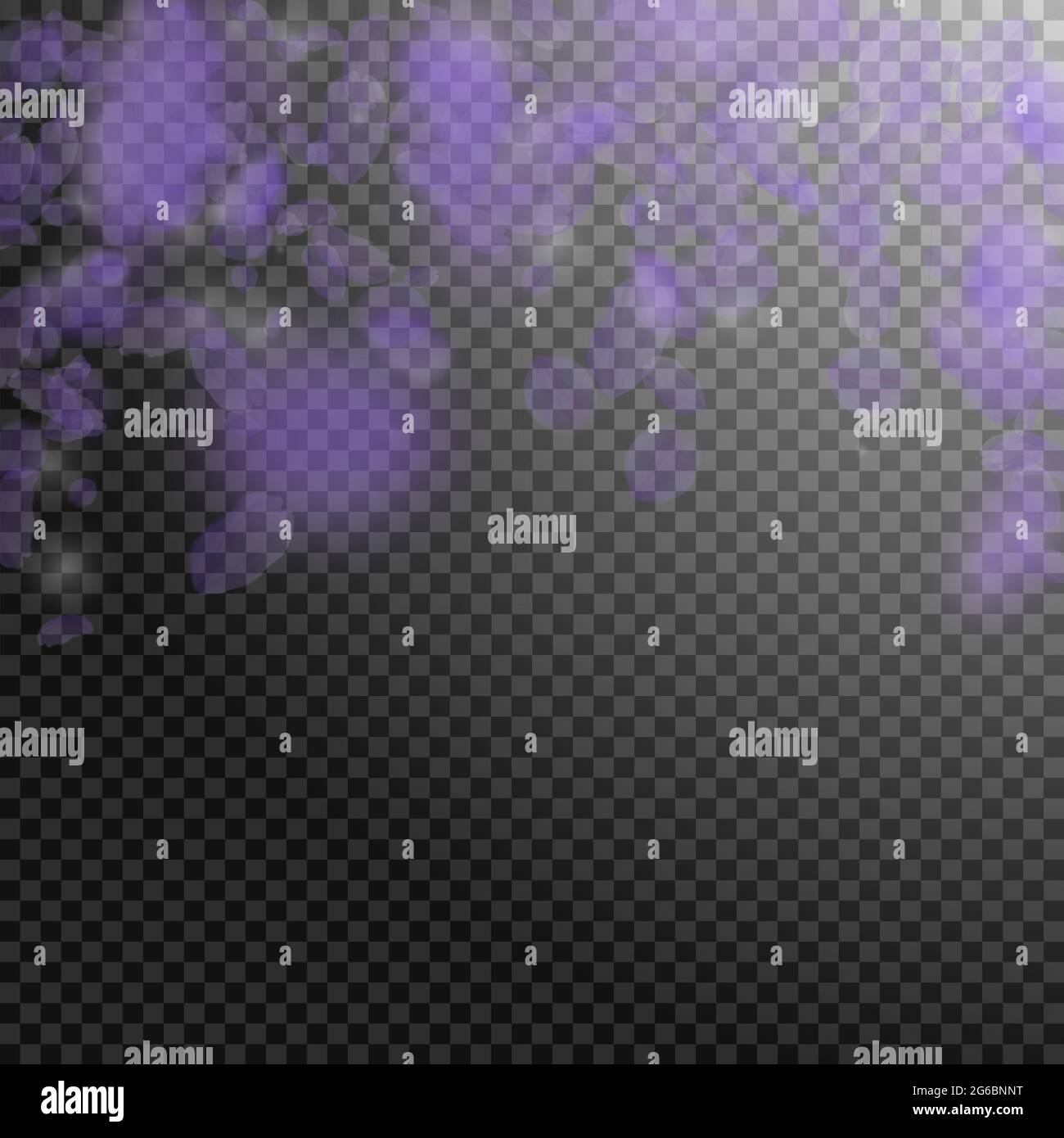 Violet flower petals falling down. Powerful romantic flowers falling ...