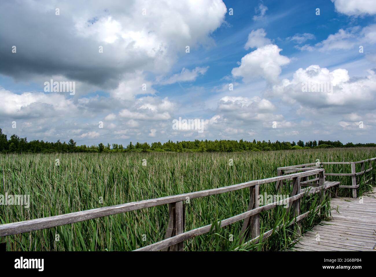Nature bad landscape hi-res stock photography and images - Alamy
