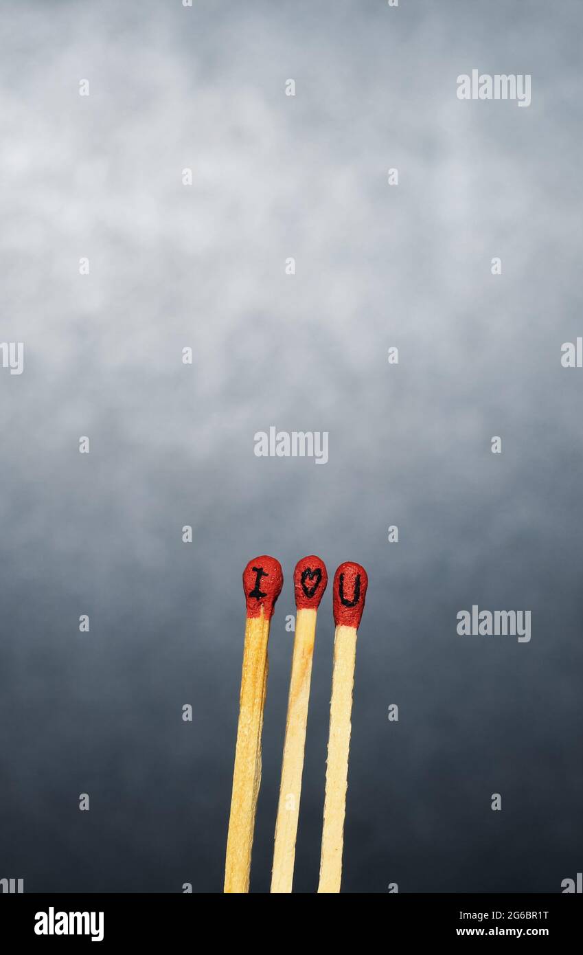 I Love You on Match Sticks. Matchstick art photography used matchsticks ...