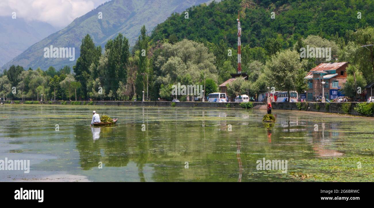 Beautiful view of the Jhelum River in Srinagar, India Stock Photo - Alamy