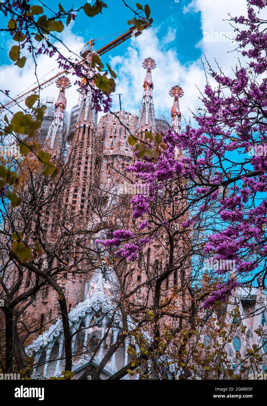 Spring sagrada familia barcelona spain hi-res stock photography and ...