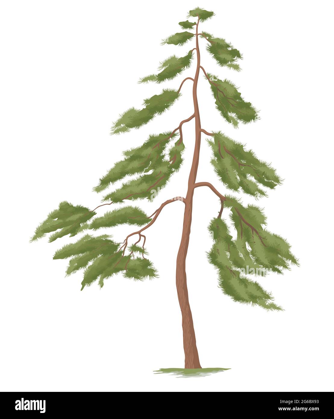 Beautiful green tree Stock Vector Image & Art - Alamy